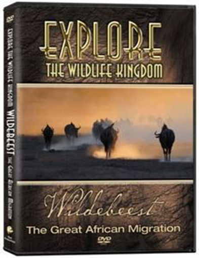 AFA Resource Center - Explore The Wildlife Kingdom: WILDEBEEST DVD
