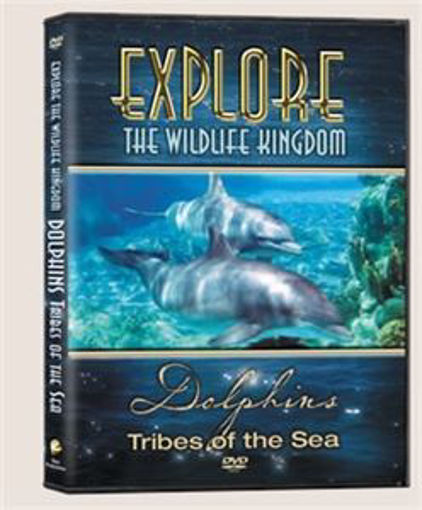 AFA Resource Center - Explore The Wildlife Kingdom: DOLPHINS DVD